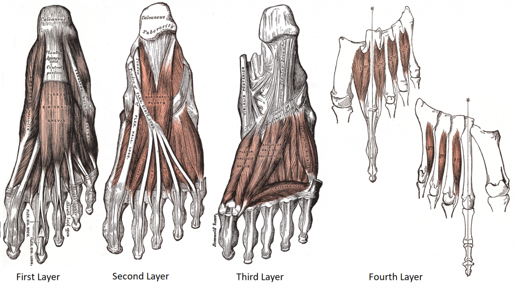 Review - MRCEM Success